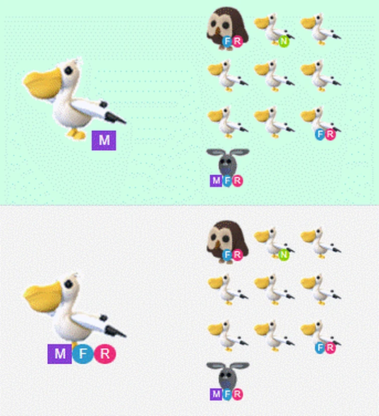 trading mega pelican | Fandom