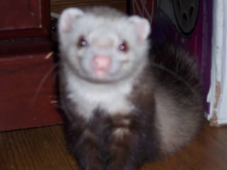 Deletion Request | Fandom