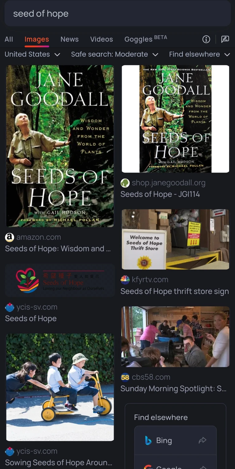 tried searching up mindful miner on google out of boredom | Fandom