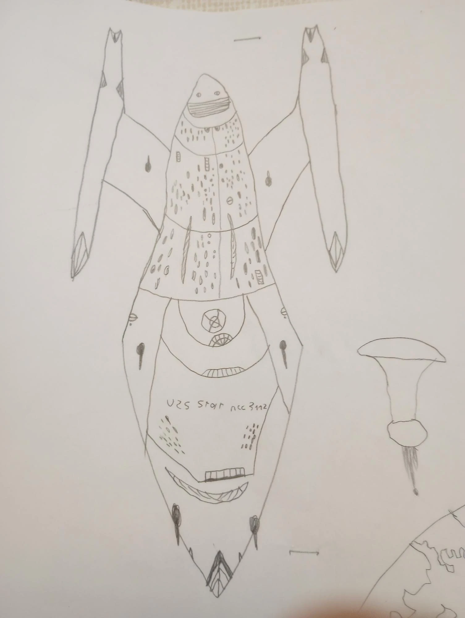 Do you like my fan-made starship drawing | Fandom