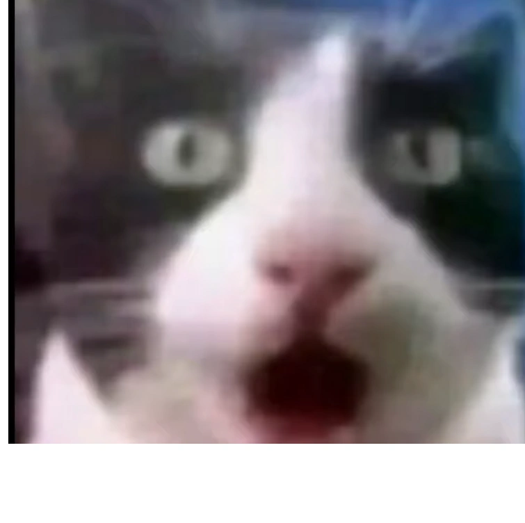 It fits but it also doesn't | Fandom