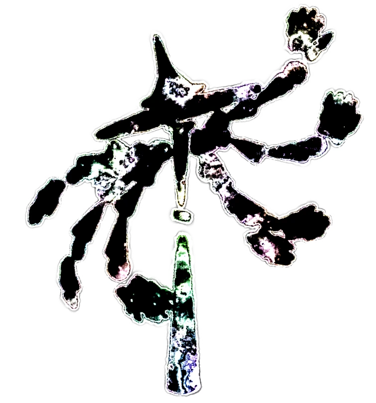 more [REDACTED] phases | Fandom