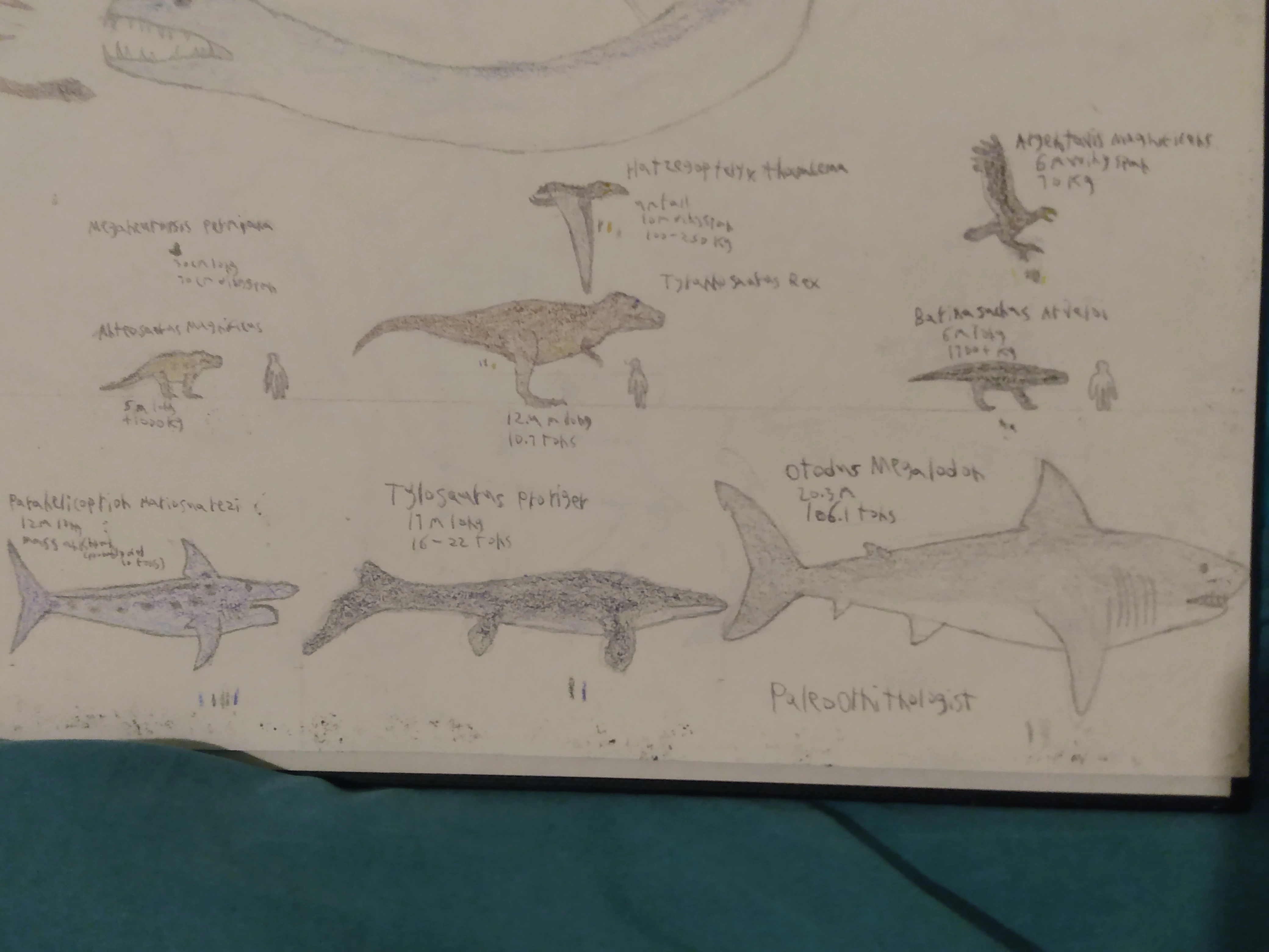 Largest Paleozoic, Mesozoic, and Cenozoic Macropredators | Fandom