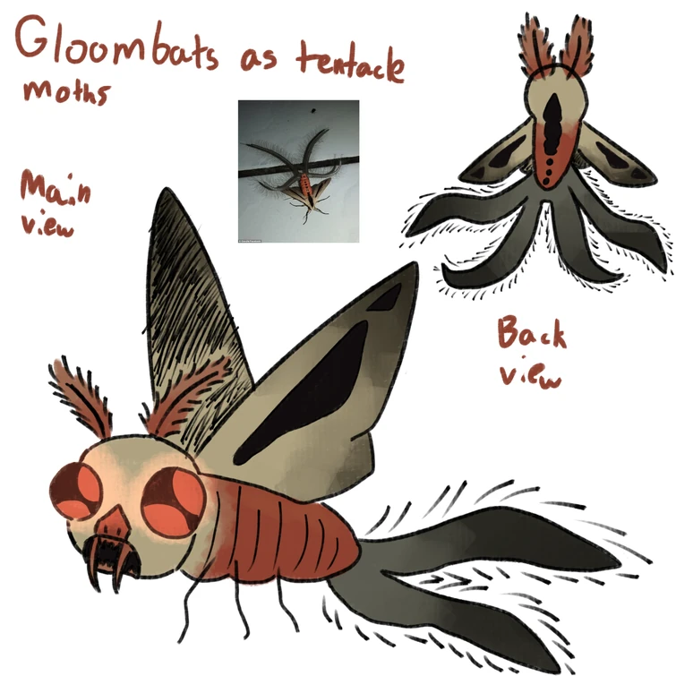 I drew a gloombat as a tentacle moth | Fandom