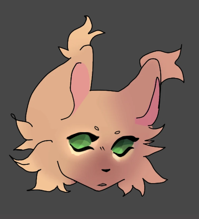 Discuss Everything About Npc Wcue Wiki | Fandom