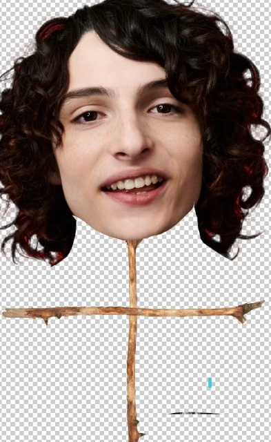 Finn the stick | Fandom