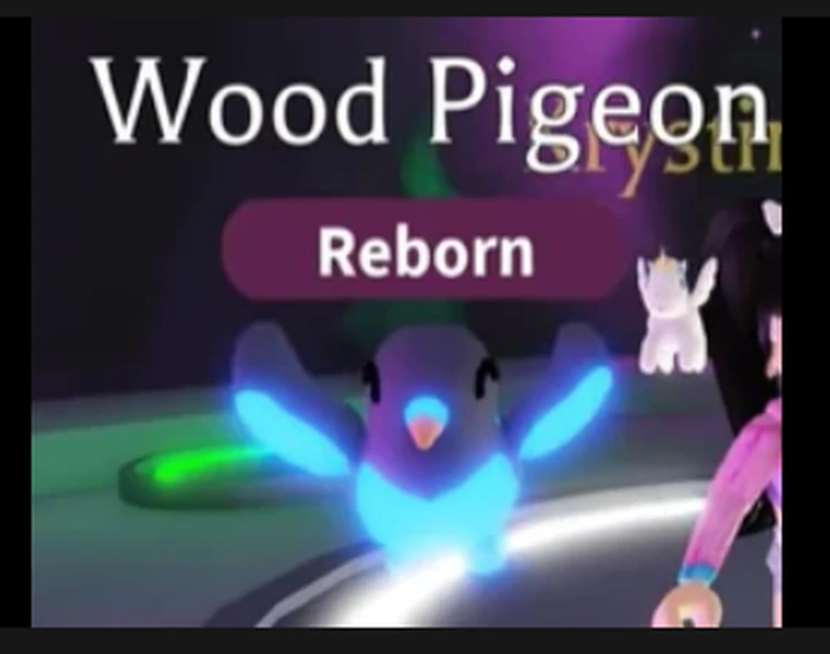 Looking for NEON WOOD PIGEON | Fandom