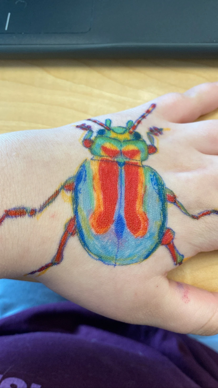 i drew a beetle on my hand (BUG TW) | Fandom