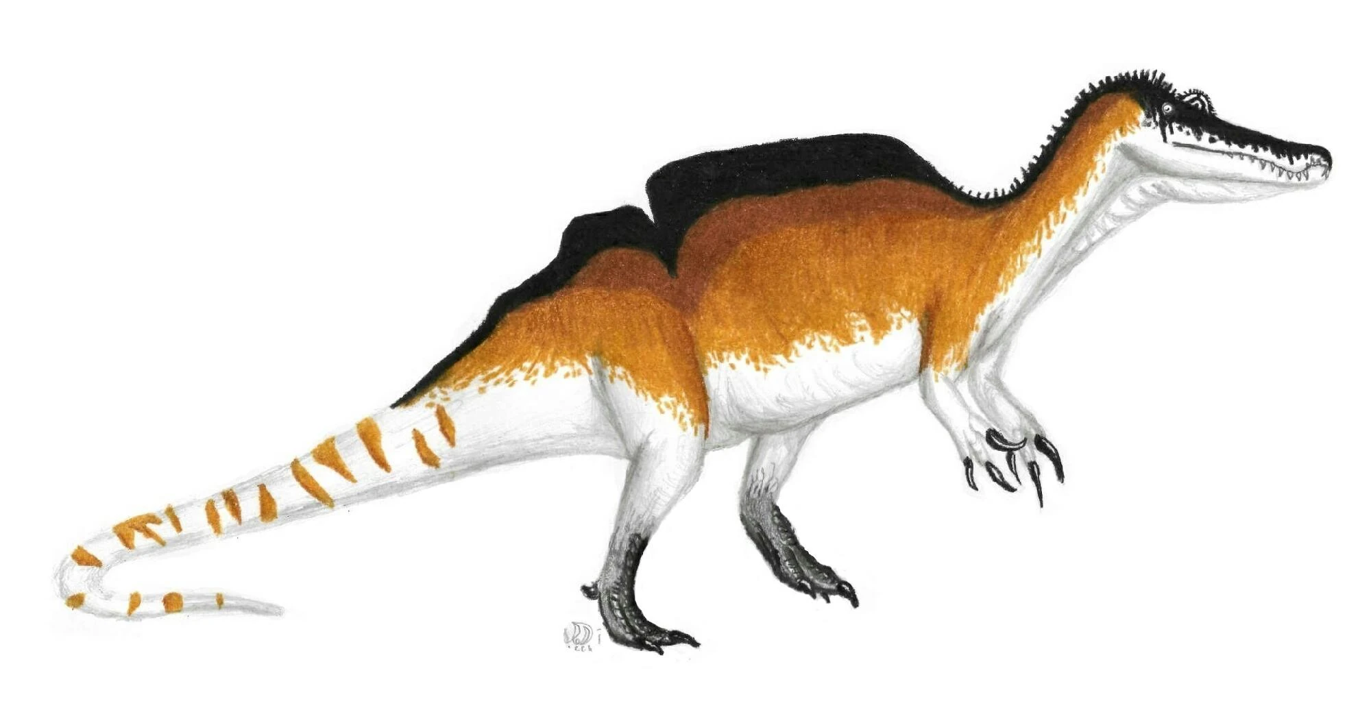 Dino of the Day 9: Ichthyovenator | Fandom