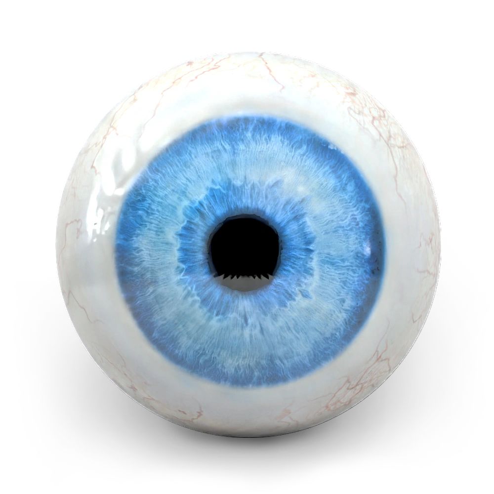 New eyeball origin image 🗣️🗣️🗣️🗣️ | Fandom