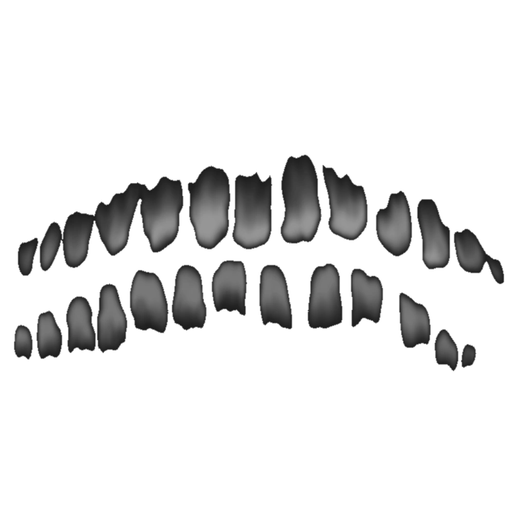 teeth | Fandom