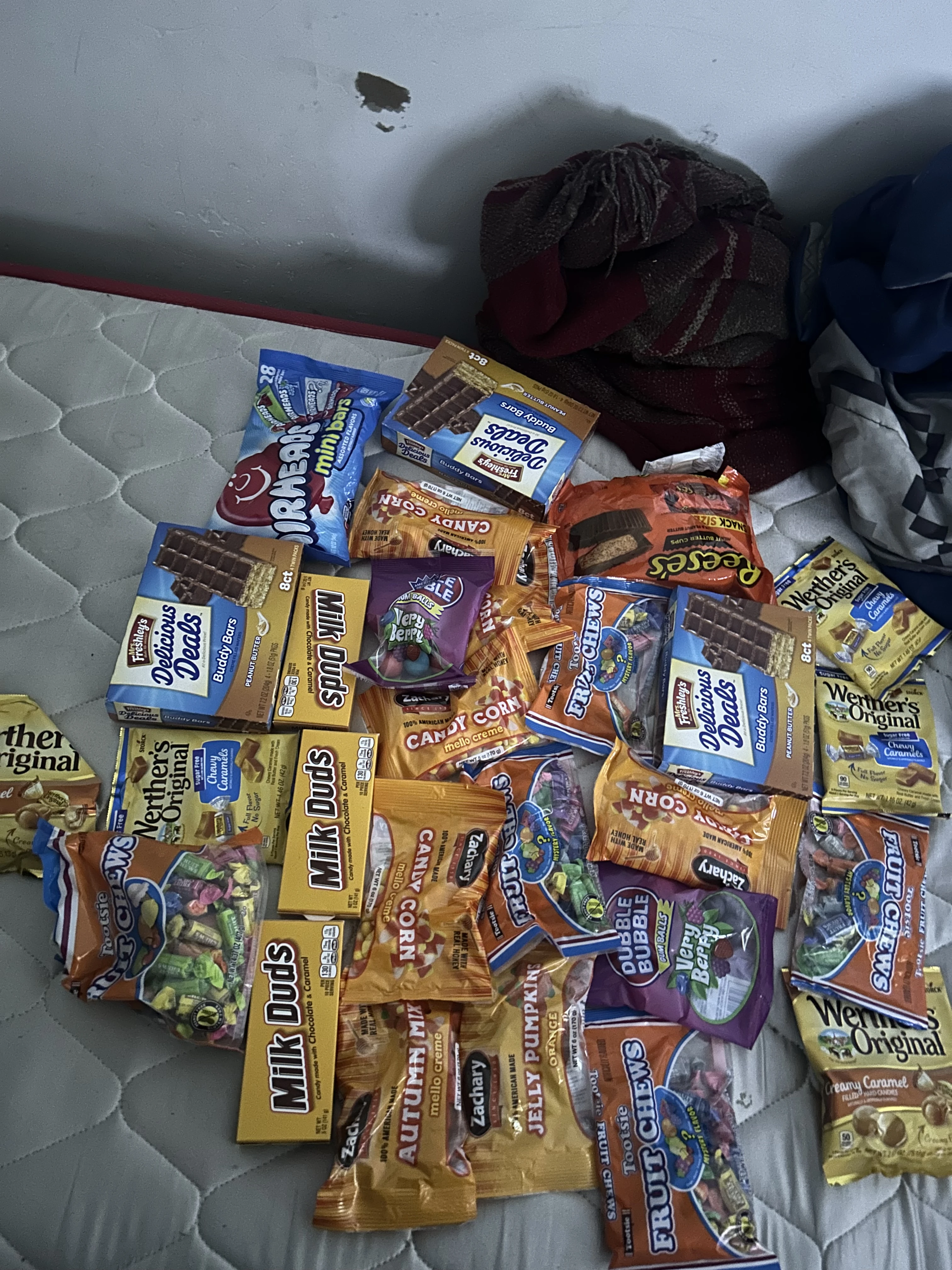 *Insert captivating title* | Fandom