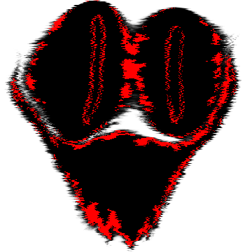 XX-10 IS REALLY!!!/RR-15 | Fandom