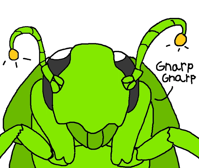 suggest areas for my "find the" game | Fandom