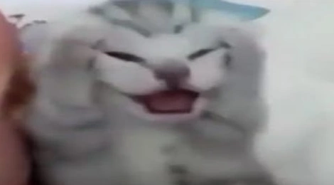 Could RGD be a bait and switch game????? | Fandom