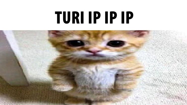 clotted cookie sings turi ip ip ip real!!! | Fandom