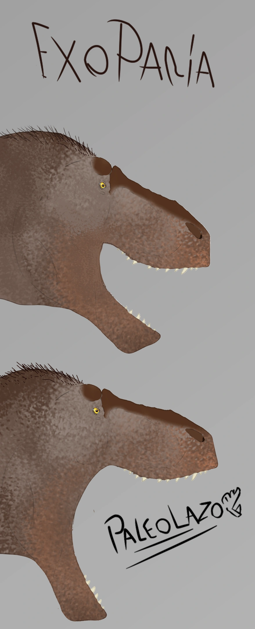 " Exoparia " el nuevo termino para las estructuras similares a mejillas ...