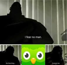 Just started using Duolingo (god help me) | Fandom