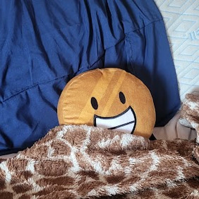 GUYS I GOT MY COINY PLUSH | Fandom