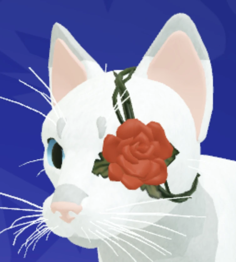 HAHAHA THESE ARE SO COOL | Fandom