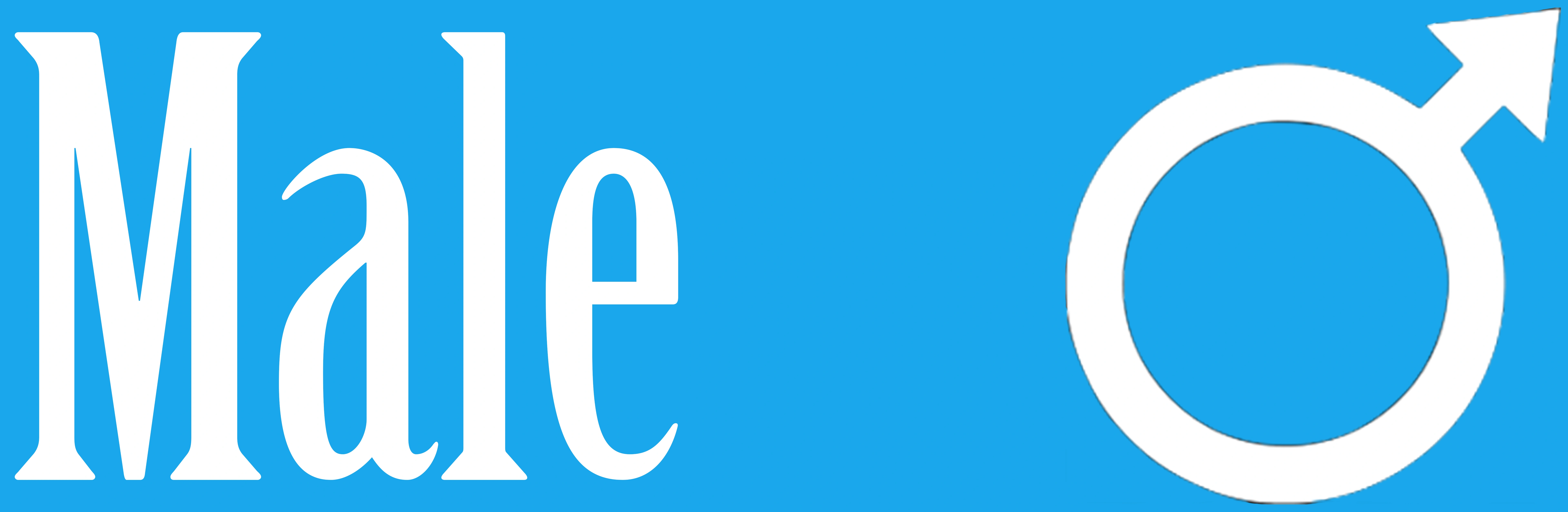 Does anyone know anything about the gender templates and their origin ...