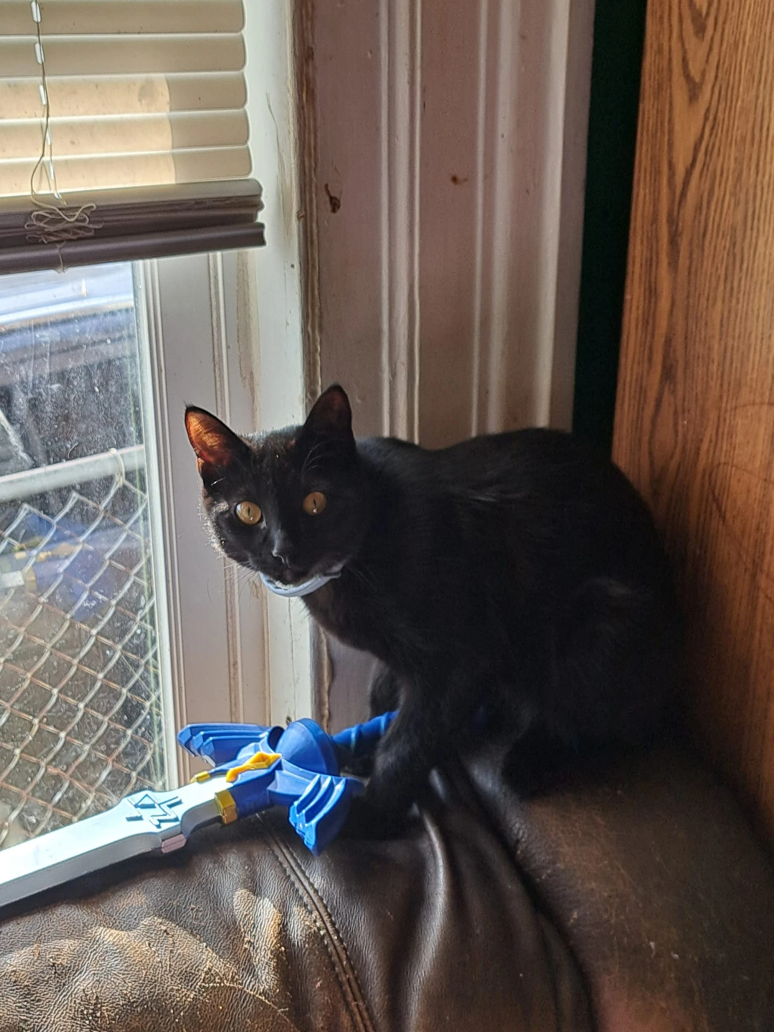 The hero that will save us all | Fandom