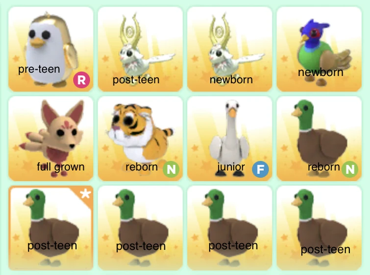 trading nfr turtle (Please offer) | Fandom