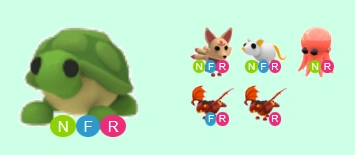 wfl?? me: nfr lumi turtle | Fandom