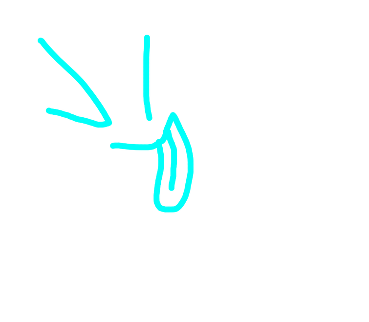 Scribble ideas | Fandom