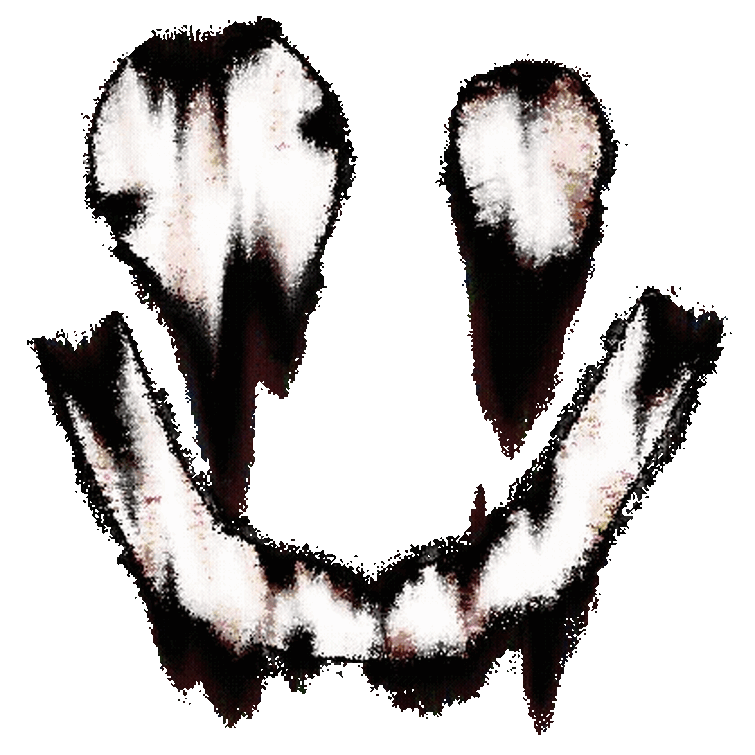 Discuss Everything About ROOMS: Low Detailed Wiki | Fandom