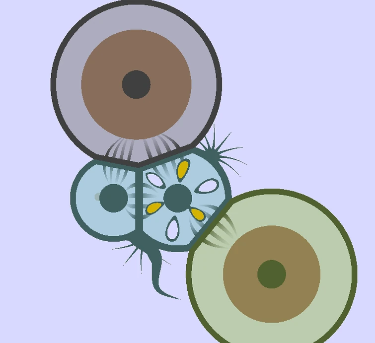 Entry for stub template | Fandom