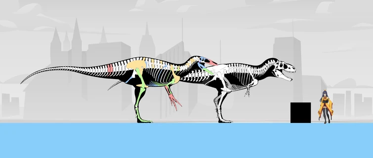 Maip the biggest Megaraptoran compared to Daspletosaurus | Fandom
