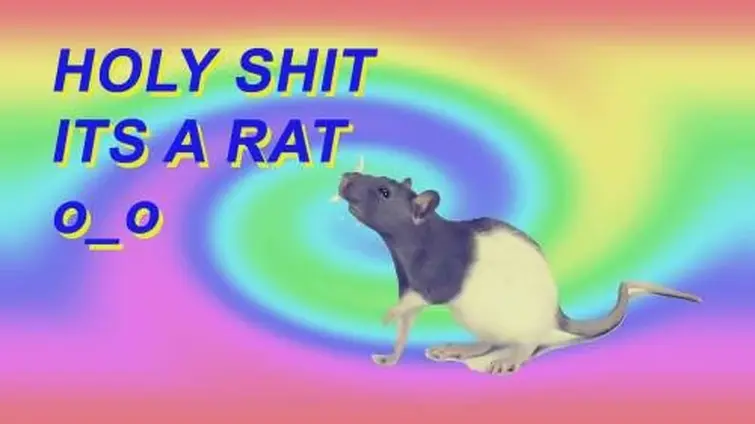 Discuss Everything About Aesthetics Wiki | Fandom