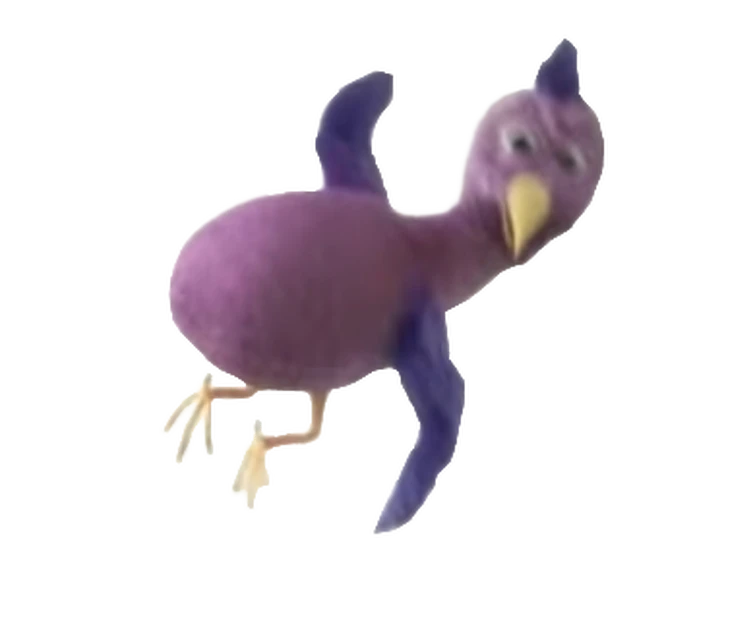 Opila bird realistic | Fandom