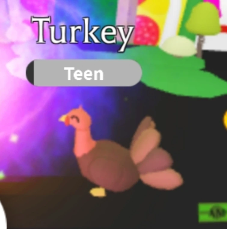 Turkey🤩 | Fandom