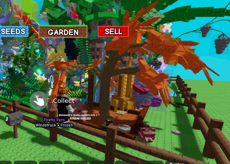 I GOT MAPLE APPLE | Fandom