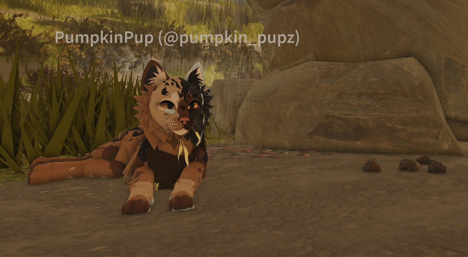 MEET OUR NEW WIKI MASCOT! | Fandom