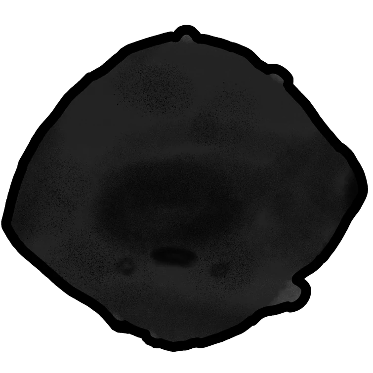 Some idiots | Fandom