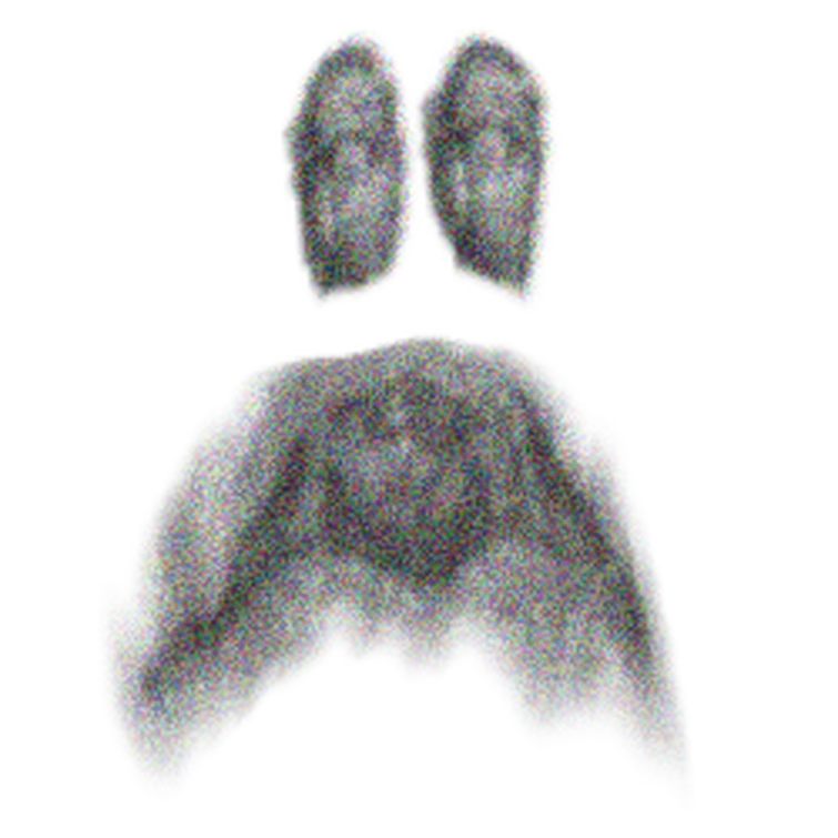 I hope this works... | Fandom