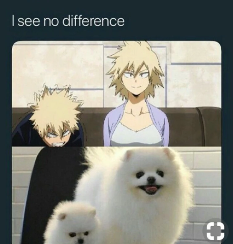 Mha memes | Fandom