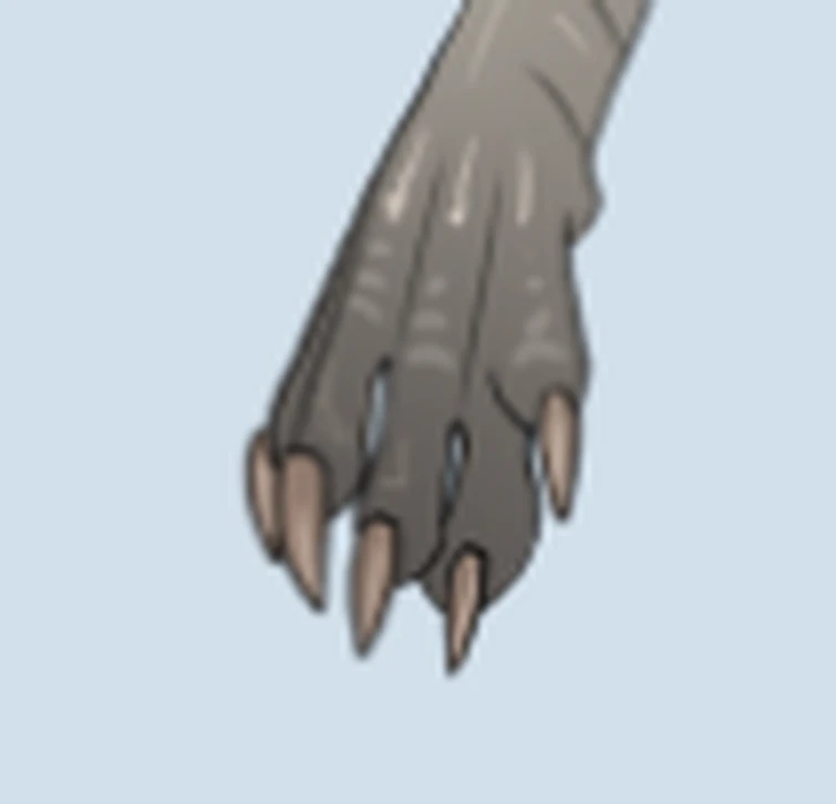 How do you draw talons? | Fandom