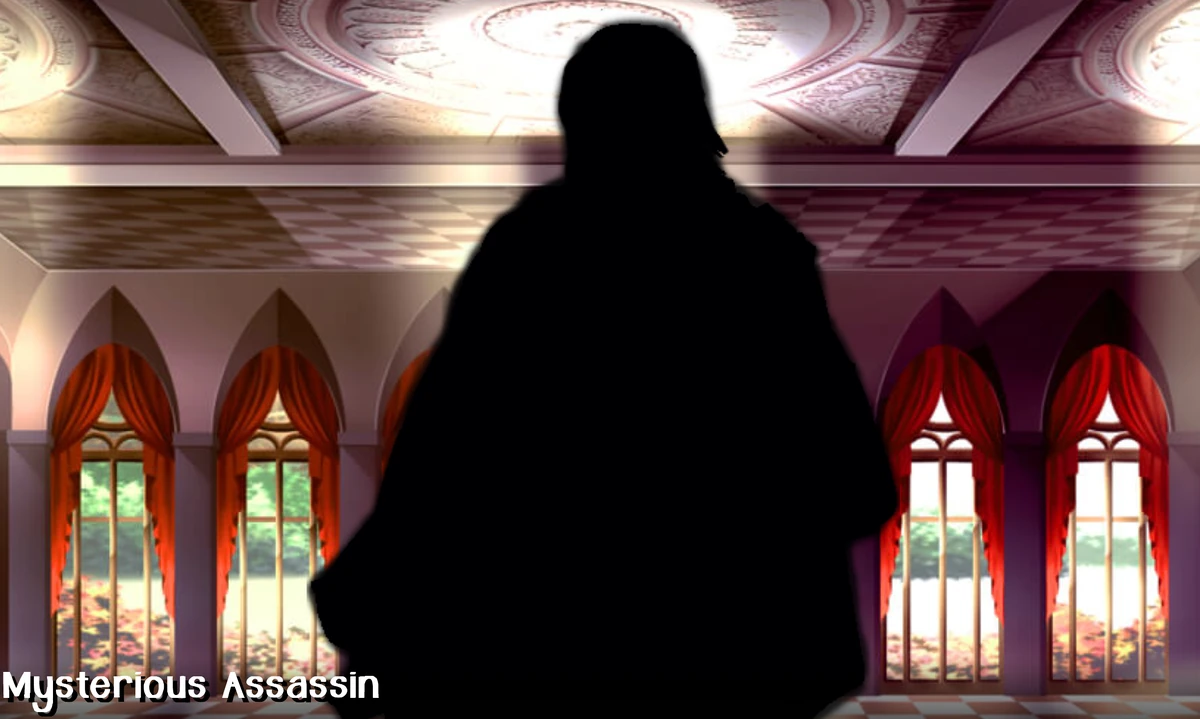 Mysterious Assassin | 7KPP Wikia | Fandom