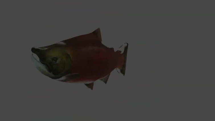 FISH (turn on subtitles) | Fandom