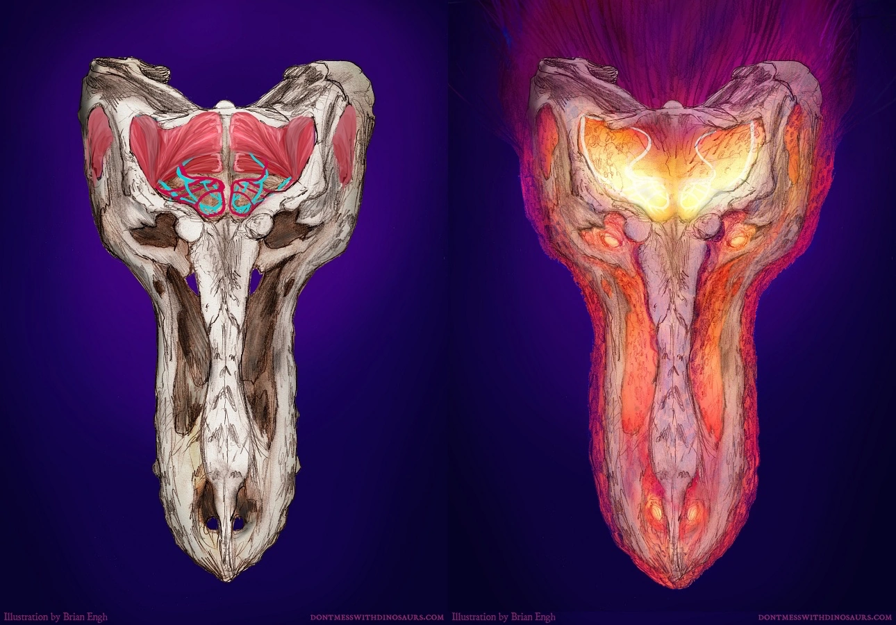 Rex heat signatures by Brian Engh | Fandom