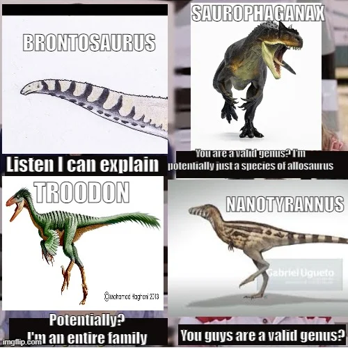 Valid or not valid genus meme | Fandom