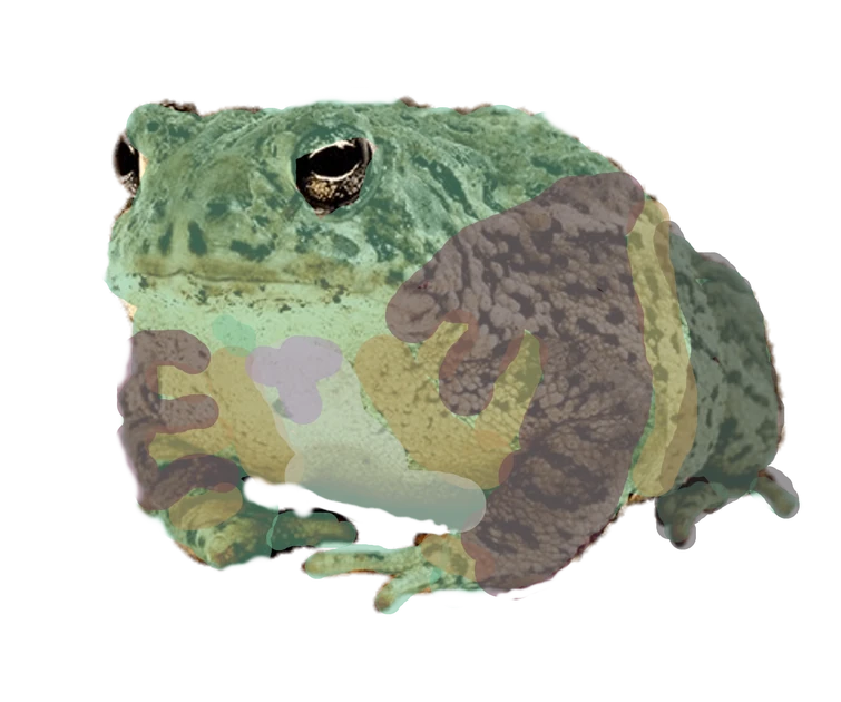 ok so now maddie, toadie, and mayor toadstool | Fandom