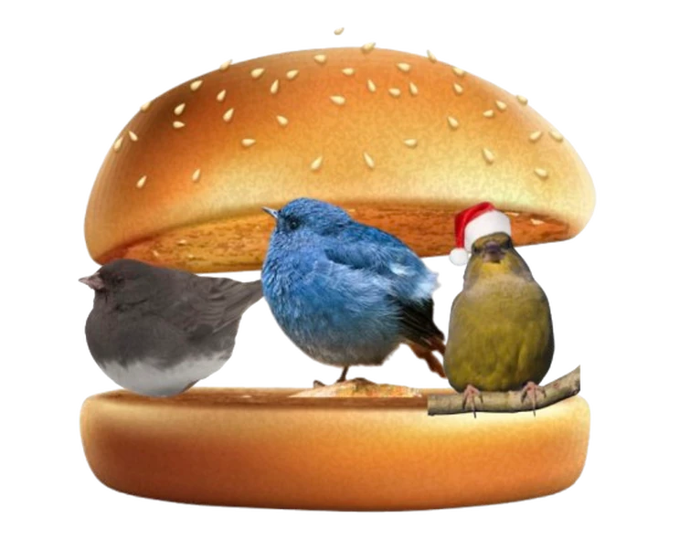Birb | Fandom