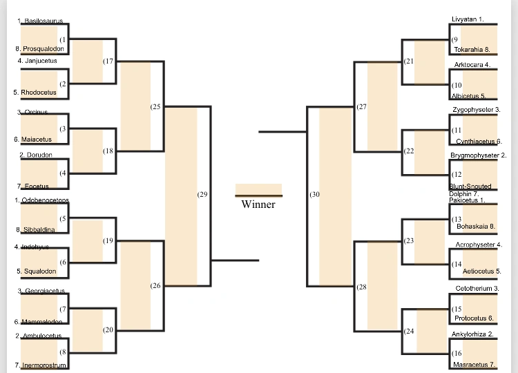 Play-In Round Recap Part 2 (Lower Half) and the Bracket! | Fandom