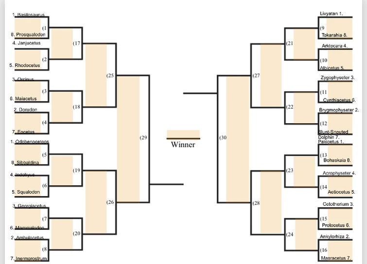 Play-In Round Recap Part 2 (Lower Half) and the Bracket! | Fandom