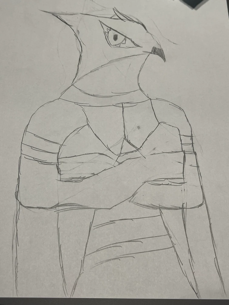 An OC design I made a while back. | Fandom